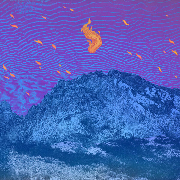 Review: Pelican 'Flickering Resonance' - The Sleeping Shaman